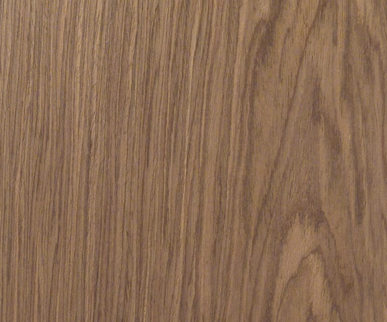 Check in with Treefrog - Treefrog Veneer